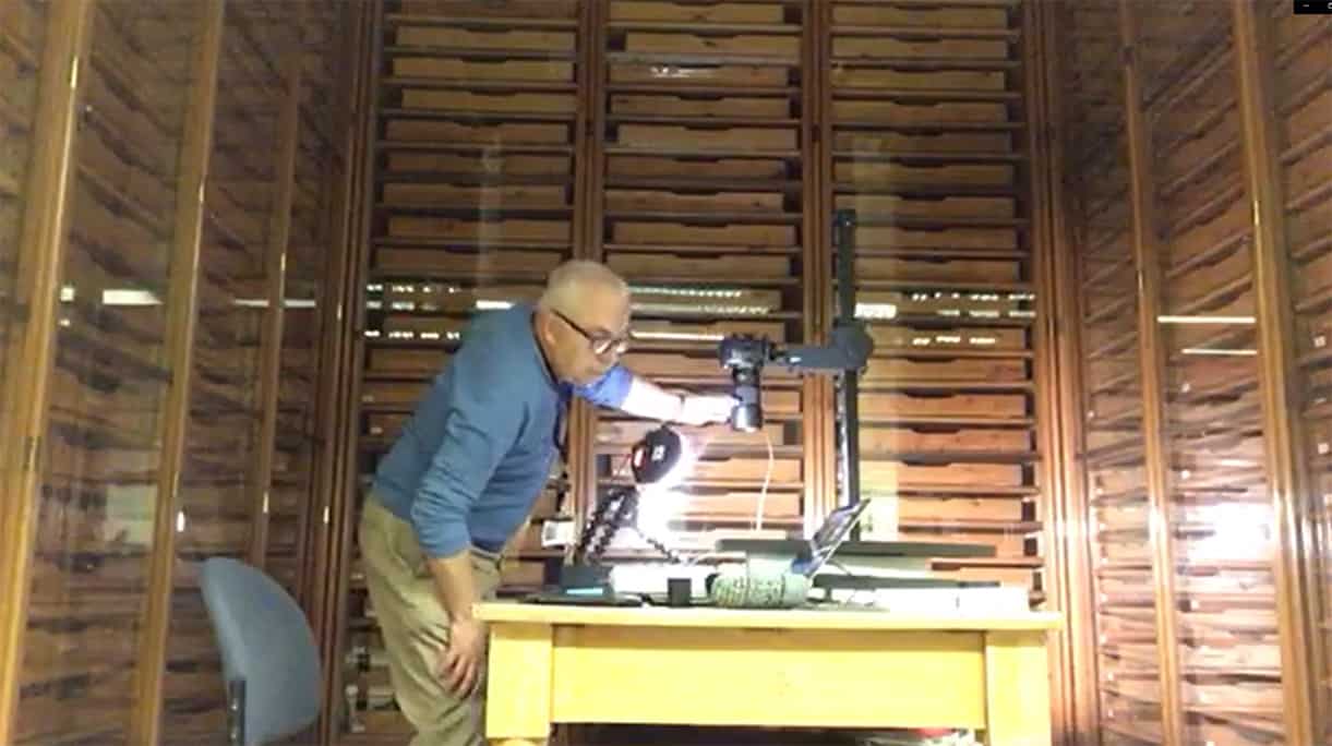 electronic Babylonian Library